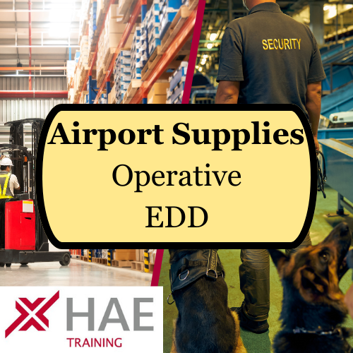 Airport Security - HAE Training